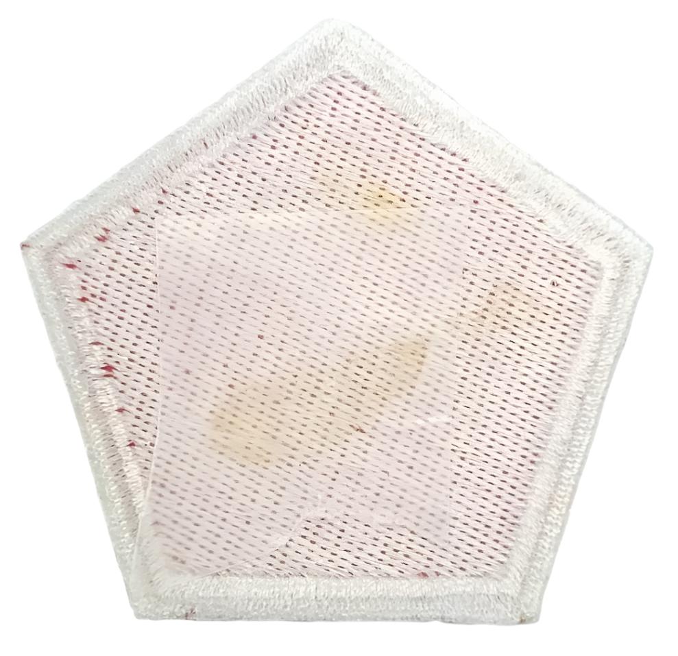 U.S. Army 5th Regimental Combat Team Patch – GRANDPOPSARMYNAVY