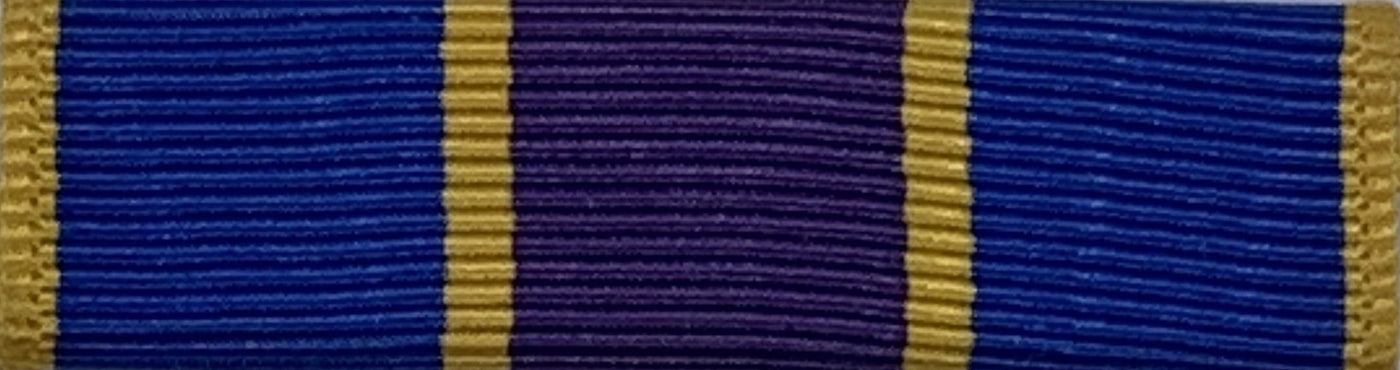 New York National Guard Counterdrug Ribbon – GRANDPOPSARMYNAVY
