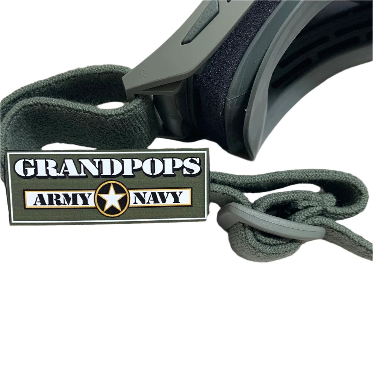 U.S. Military Desert Locust Foliage Green Military Goggle System Revis ...
