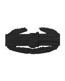 Army CAB Subdued Pin – GRANDPOPSARMYNAVY