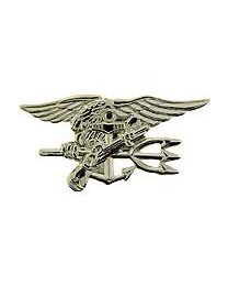 USN Navy Seal Trident Silver Pin – GRANDPOPSARMYNAVY