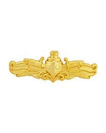 USN Surface Warfare Gold Pin – GRANDPOPSARMYNAVY