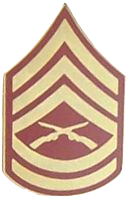 USMC E-7 Gunnery Sergeant Red/Gold Rank Pin – GRANDPOPSARMYNAVY